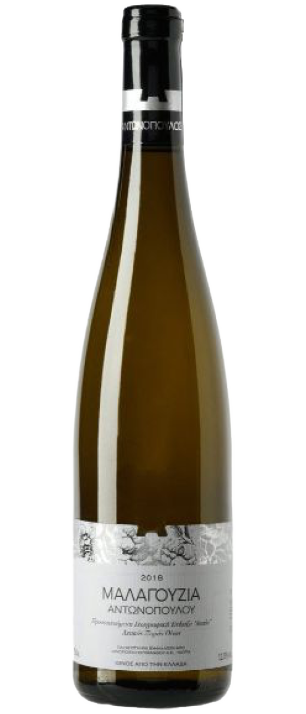 ΑΝΤΩΝΟΠΟΥΛΟΥ ΜΑΛΑΓΟΥΖΙΑ | OAK Cava