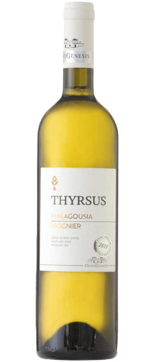 NICO LAZARIDI ΝΤΑΜΑ ΚΟΥΠΑ ΛΕΥΚΟΣ | OAK Cava